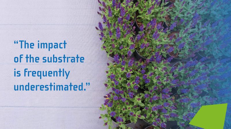 What is the best greenhouse floor? | Ultimate Guide | Growers