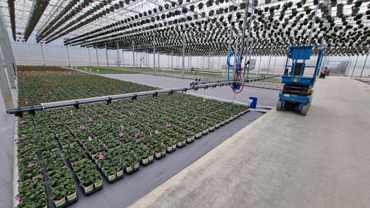 Greenhouse irrigation system [5 options]