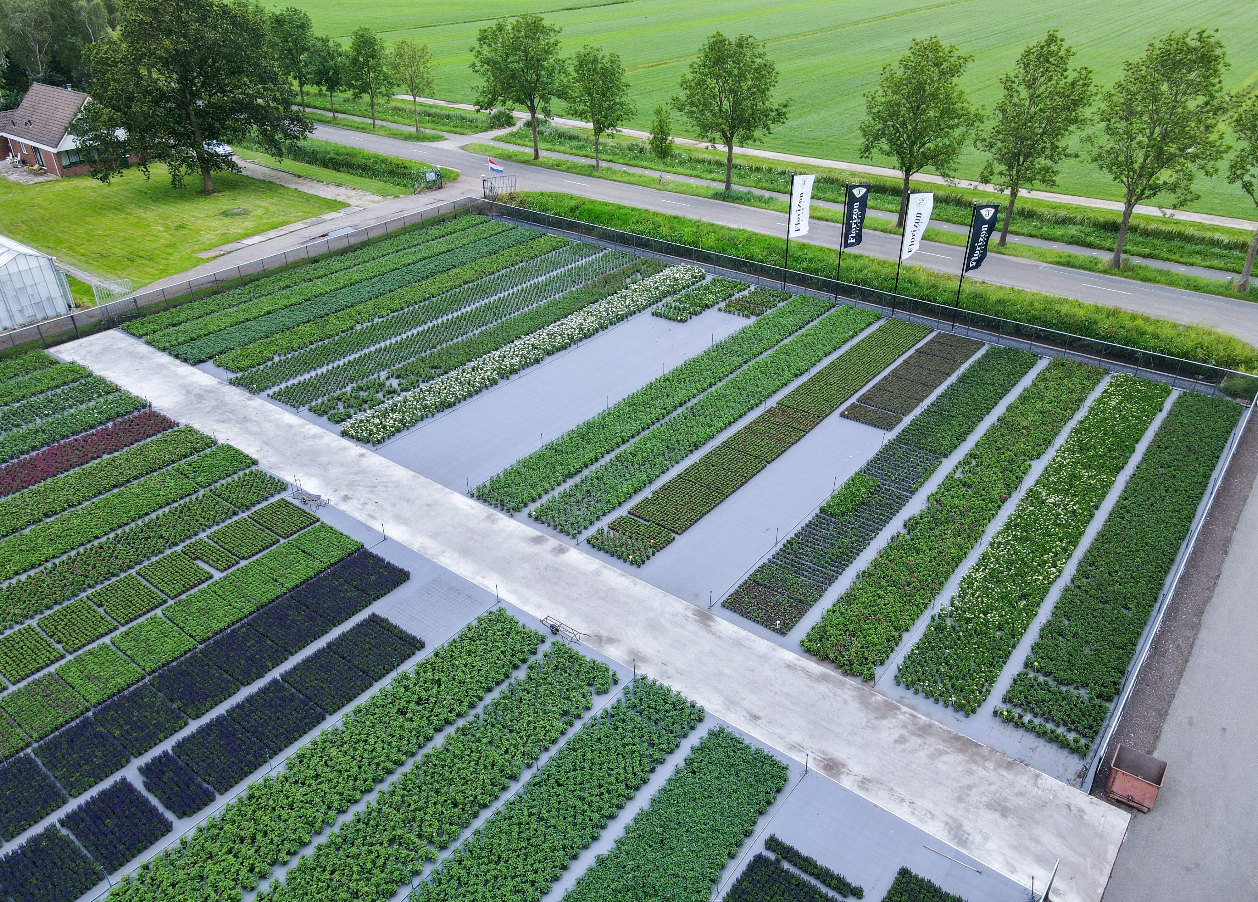 What is the best greenhouse floor? | Ultimate Guide | Growers