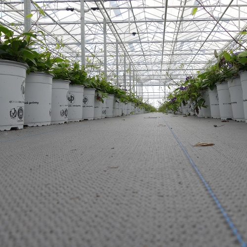 Best flooring for a greenhouse | Guide for Growers
